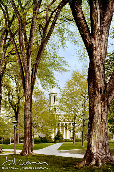 Penn State "Old Main Through the Elms" Art | Old Main Frame Shop